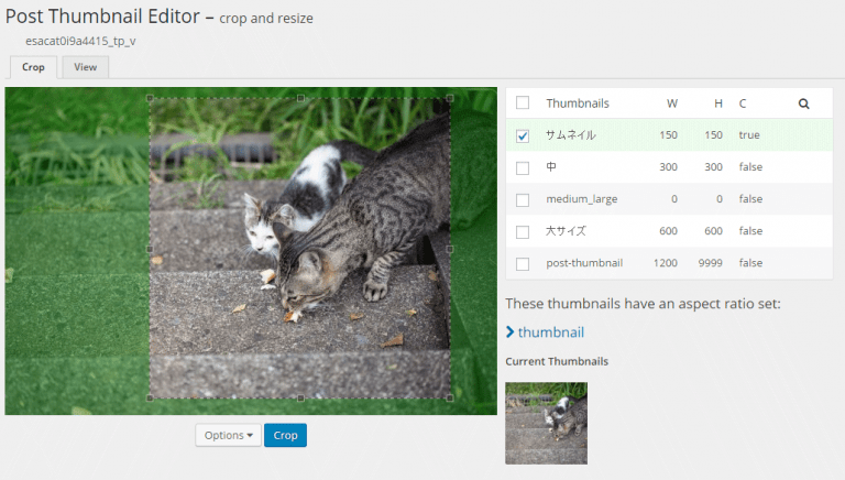サムネイル画像の表示範囲を自分で指定できるようになるWordPressプラグイン「Post Thumbnail Editor」 | TechMemo
