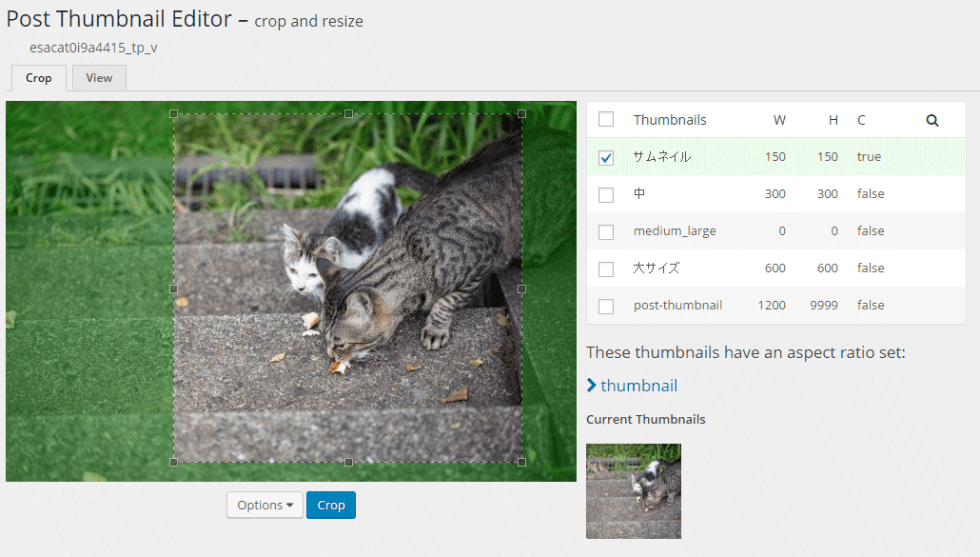サムネイル画像の表示範囲を自分で指定できるようになるWordPressプラグイン「Post Thumbnail Editor」 | TechMemo